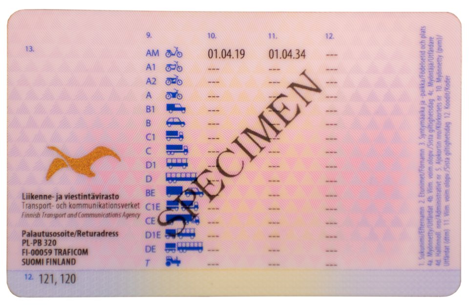 Back side of the 2024 driver's license model.